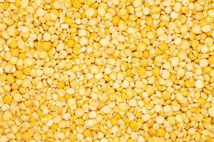 Nasiona roślin strączkowych – Gorzów Wielkopolski I Agro-Nasiona